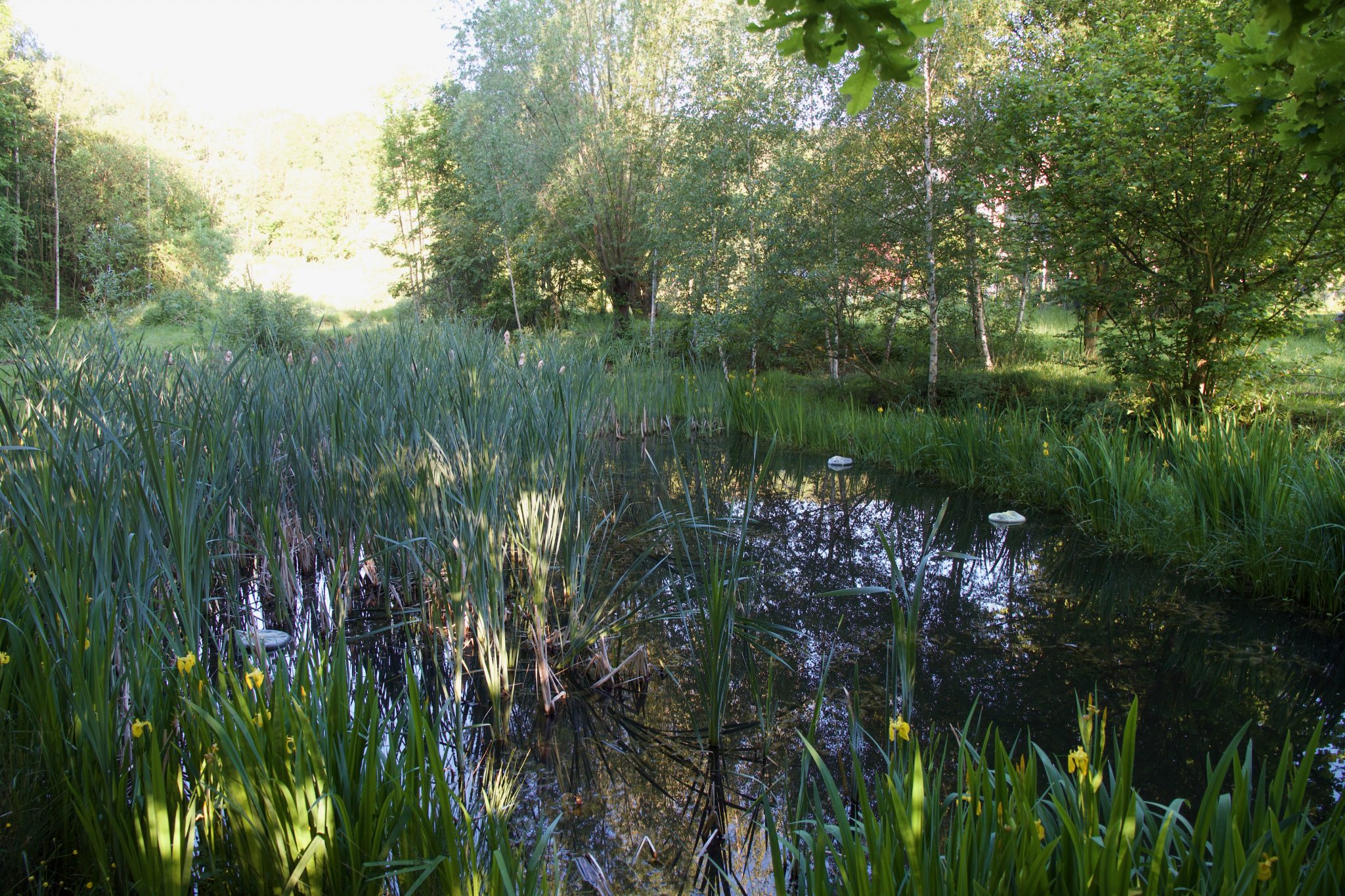 Ochtersum – Schulbiologiezentrum Hildesheim